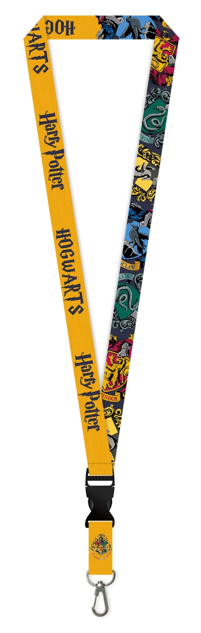 LANYARD COLOR – Tienda Crazy Stuff